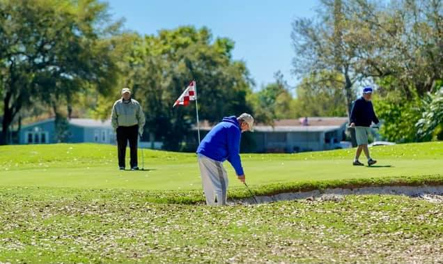 Gallery - The Hamptons Golf and Country Club